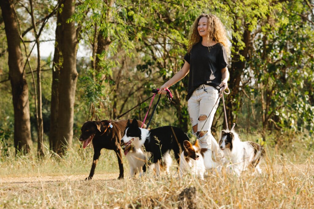 Best Dogs That Will Make Your Life Better - Dog Fiesta Online
